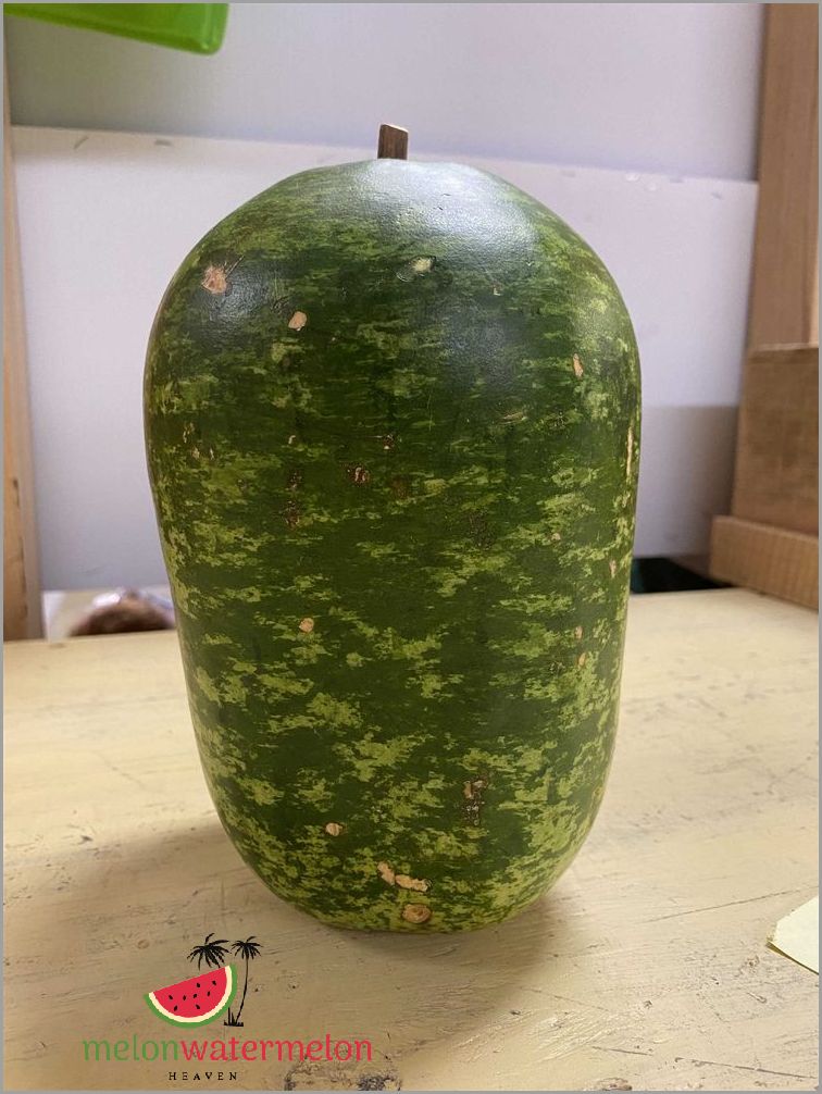 Is Watermelon a Gourd? The Shocking Truth Revealed! - [Updated December ...